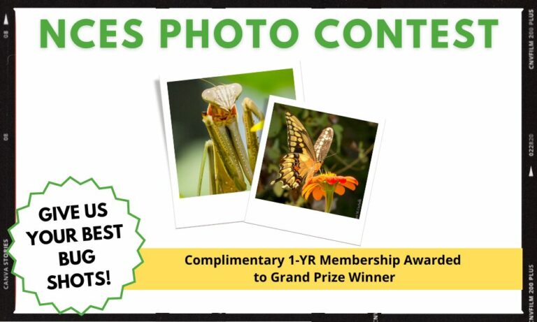 Photo Contest – North Carolina Entomological Society